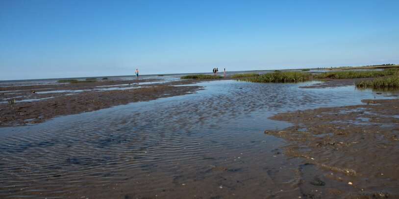 Dorum-Neufeld - Eine Metropole an der Nordseeküste