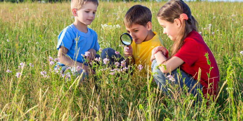 Umweltprojekte für Kinder und Jugendliche