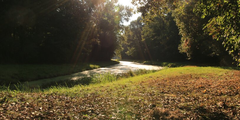 Stadtwald Bremen - Grüne Oase mitten in der Stadt