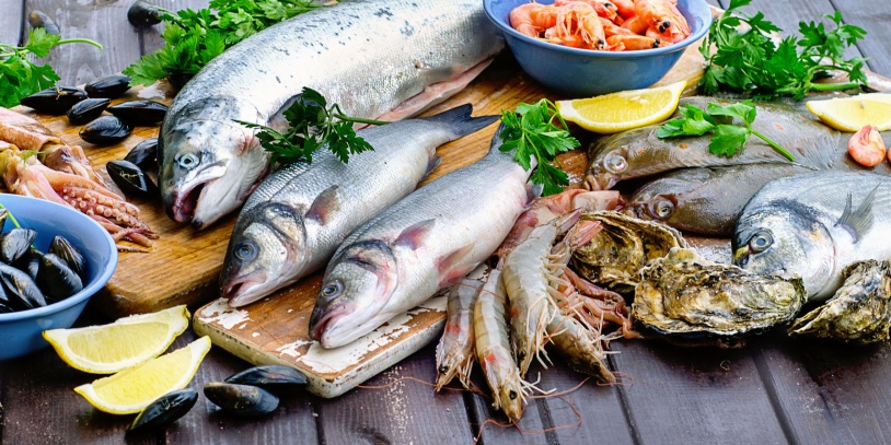 Fisch & Feines 2024 - Fischmesse in Bremen